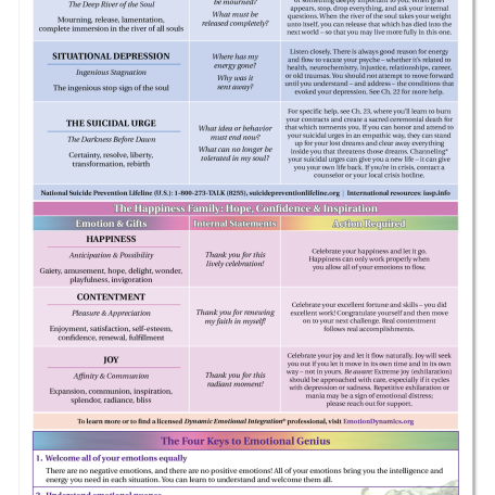 Your DEI Emotional Reference Guide | Karla McLaren