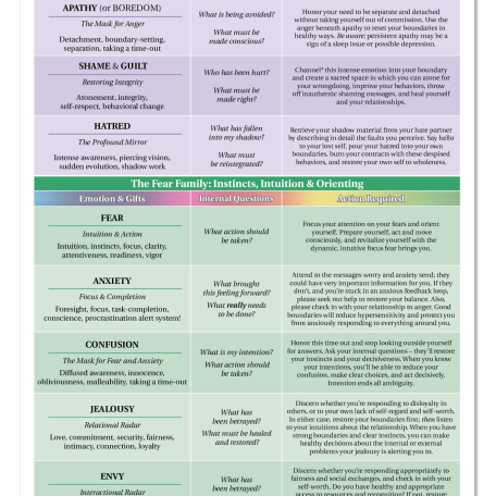 Your DEI Emotional Reference Guide | Karla McLaren